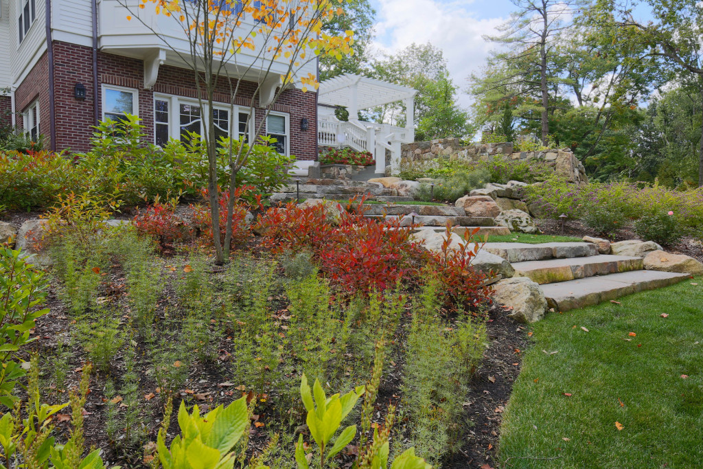 Landscape Installation - The Todd Group