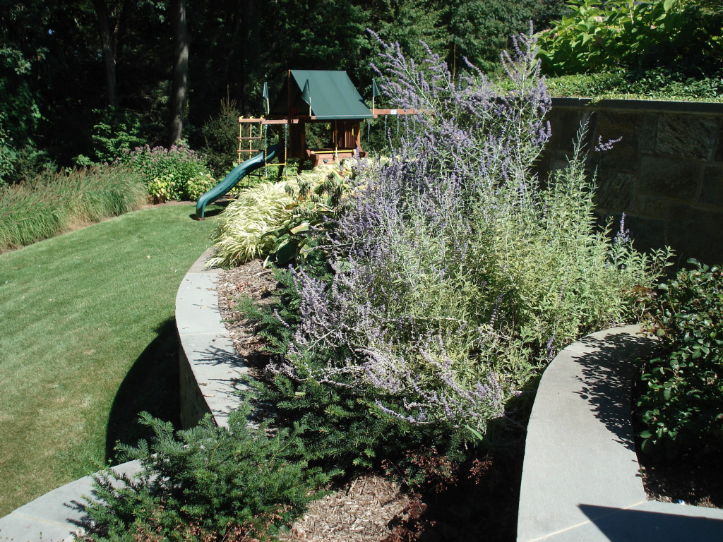 Landscape Installation - The Todd Group