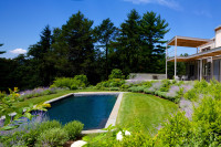 Pools - The Todd Group