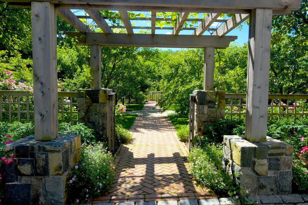 A Modern Homestead - A Welcoming North Jersey Landscape Design