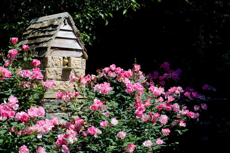 A Modern Homestead - A Welcoming North Jersey Landscape Design